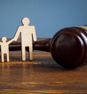 Your Family Your Rights